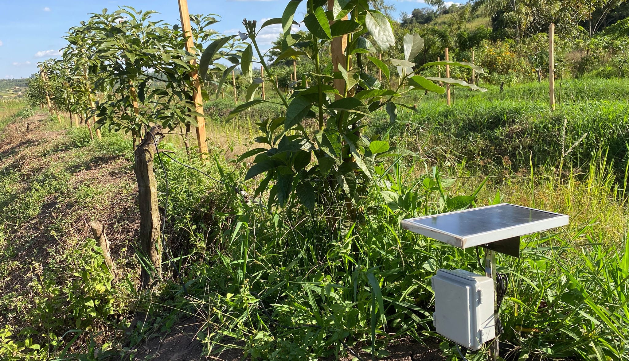 Agricultural Monitoring and Irrigation Automation > Kumva Insights